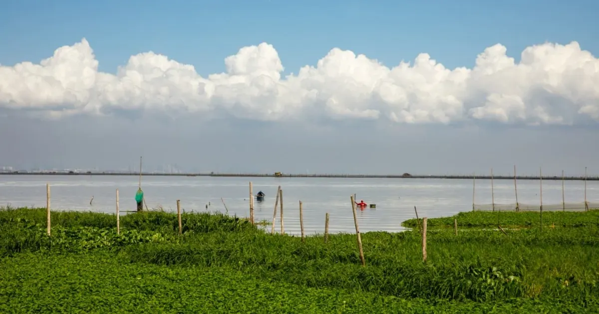 5 years of river cleanup: SMC removes 8.5 M tons of waste